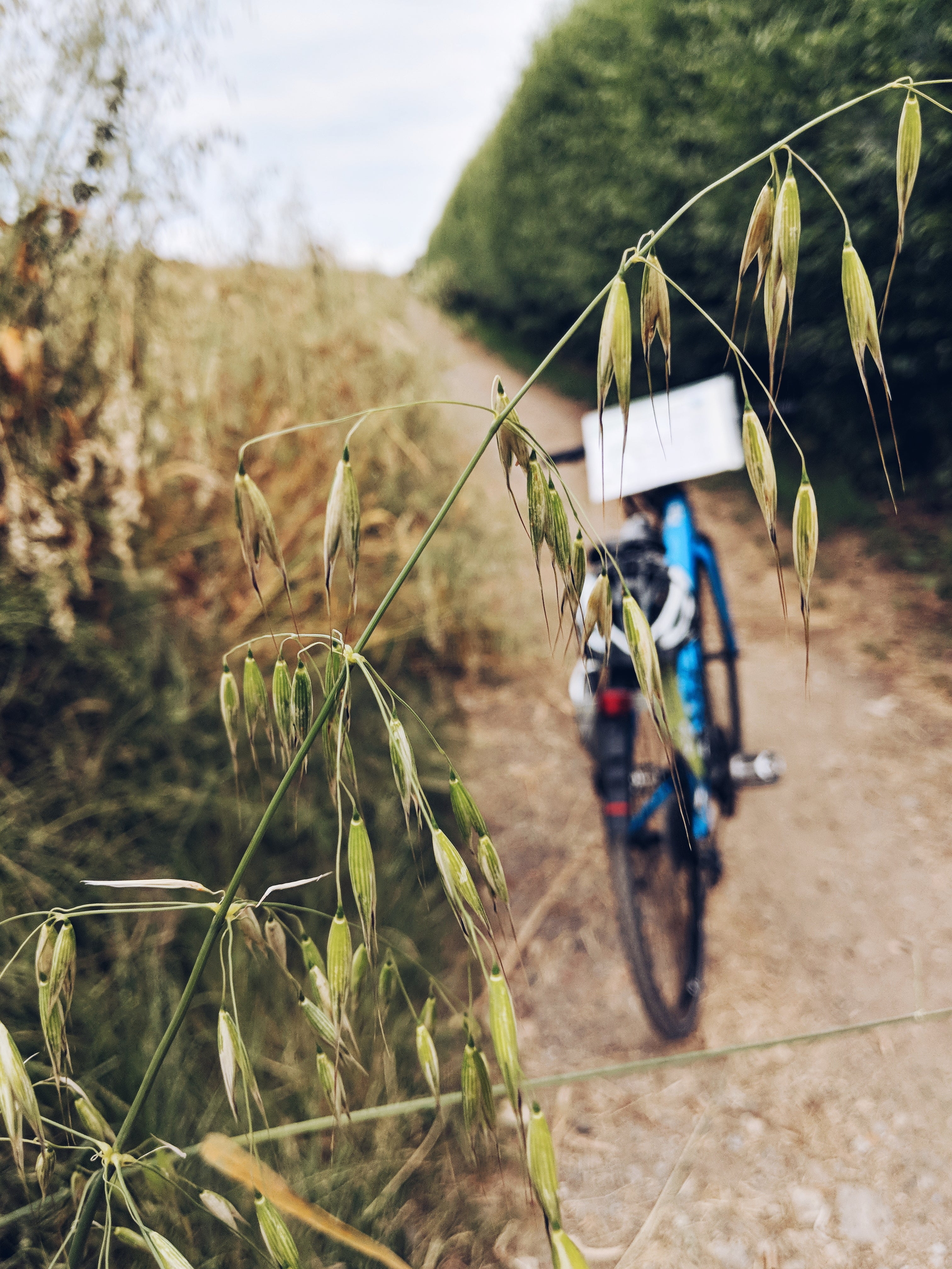 CYCLE HIRE – Kent Cycles